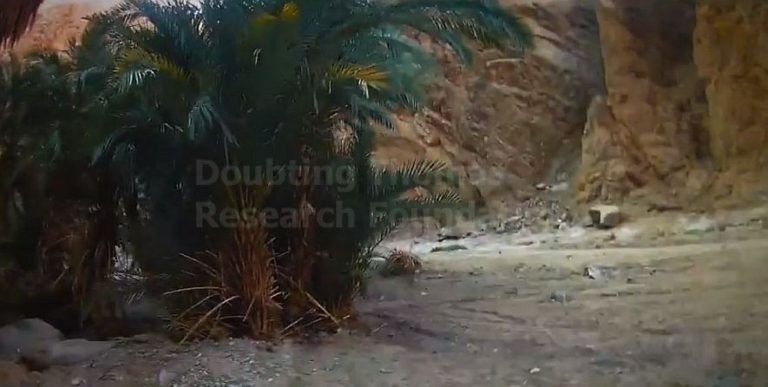 Elim: The Desert Oasis On the Route to Mount Sinai