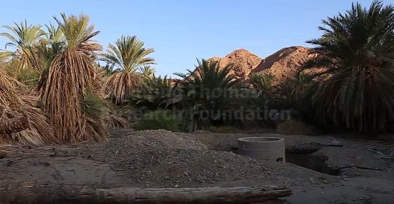 Elim: The Desert Oasis On the Route to Mount Sinai