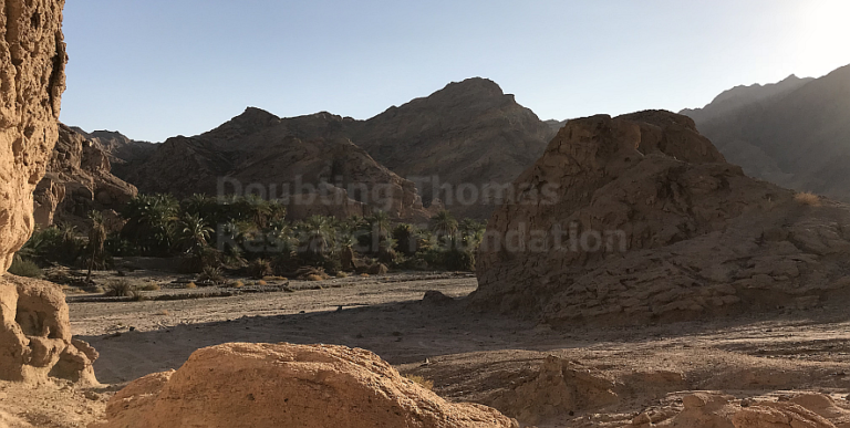 Elim: The Desert Oasis On the Route to Mount Sinai