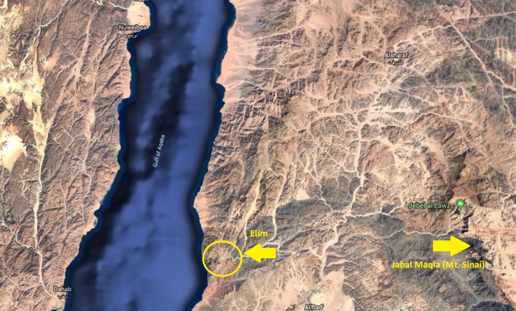 Elim: The Desert Oasis On the Route to Mount Sinai