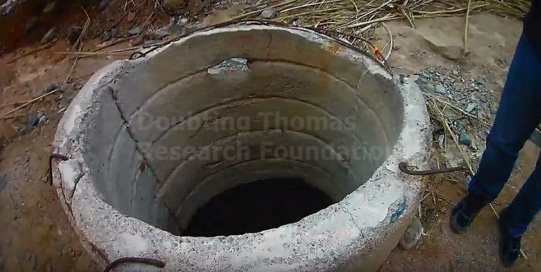 Elim: The Desert Oasis On the Route to Mount Sinai